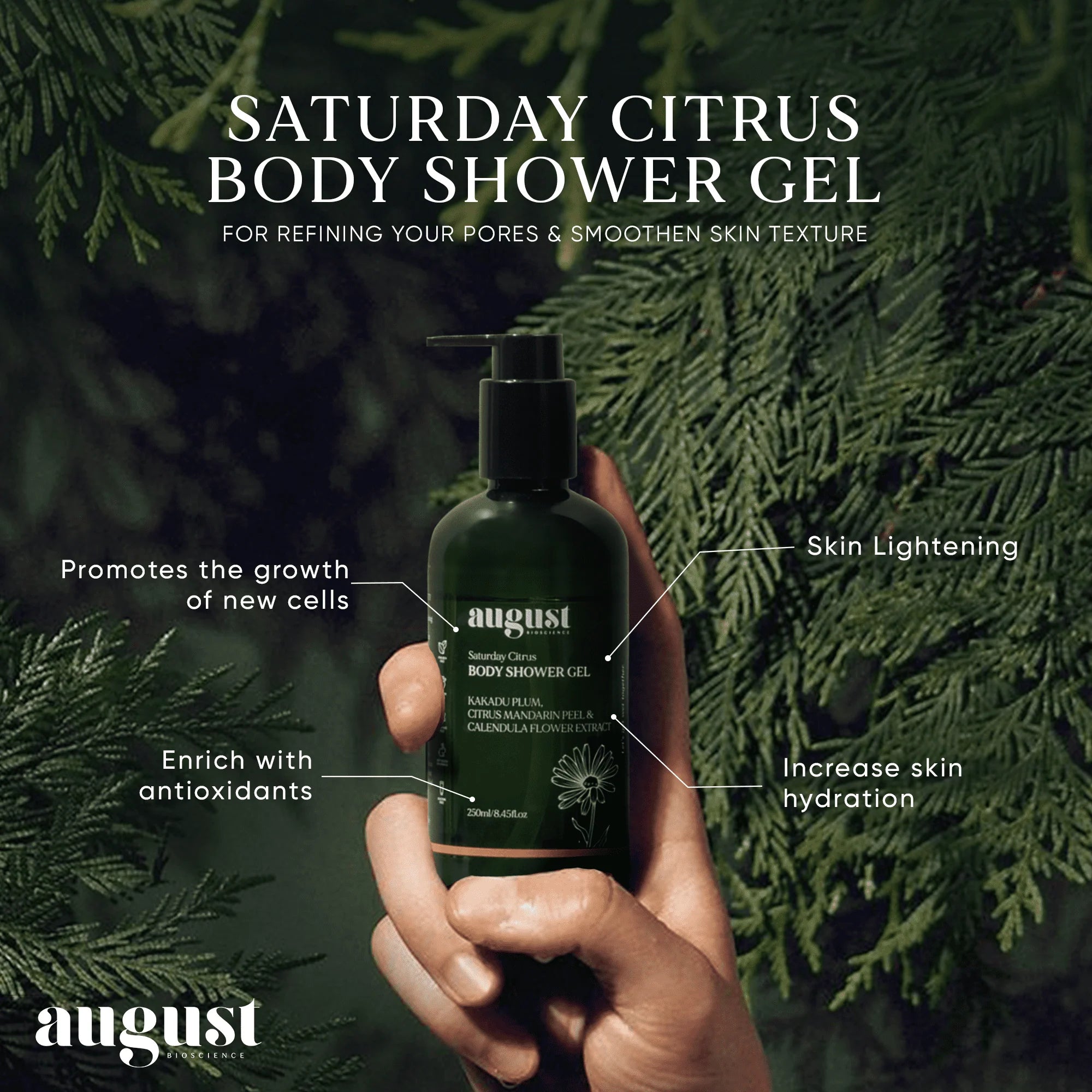 A Comprehensive Guide to Saturday Citrus Body Shower Gel – Refine Your Pores and Smoothen Skin ...